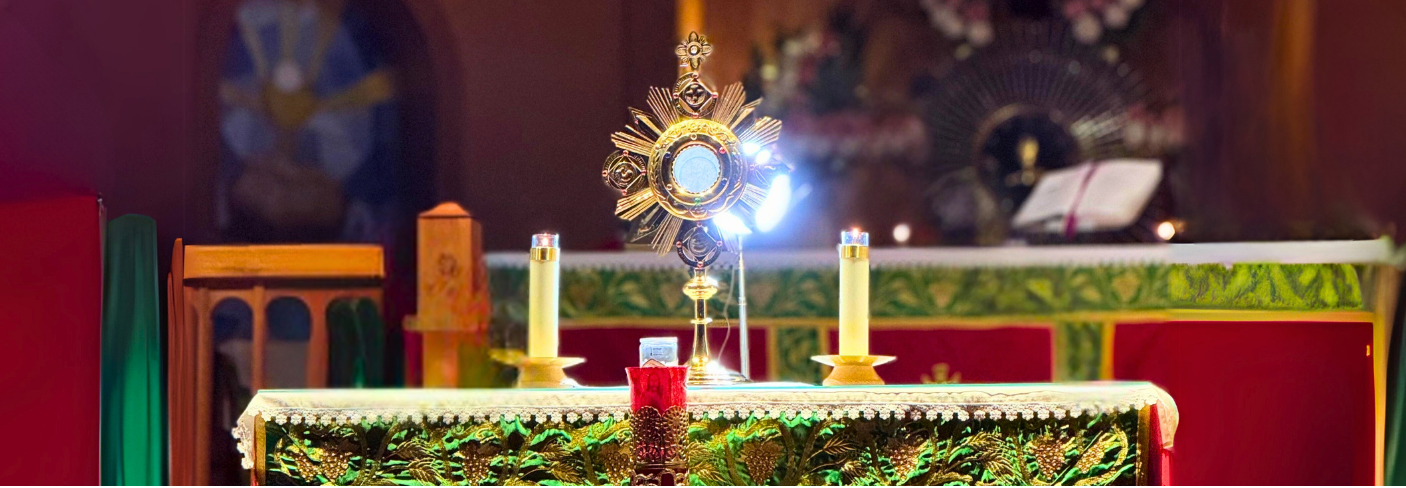 A Night of Grace: Eucharistic Adoration, Reconciliation, and Holy ...